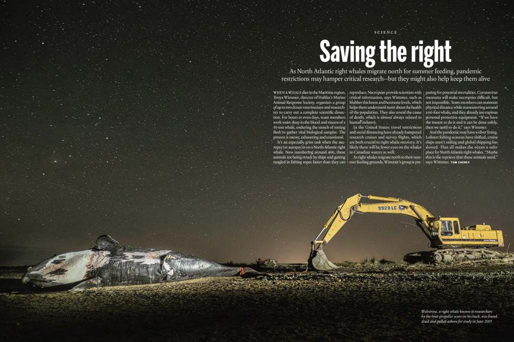Presenting the Winners of the 2021 National Magazine Awards – National ...